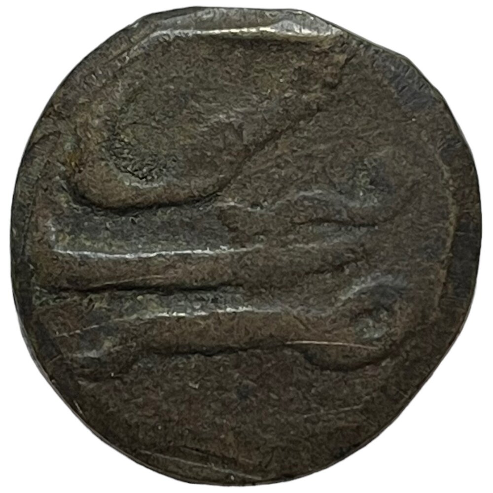 Индия, Майсур 1 пайса 1787-1790 гг. (AM 1216-1219) (Фаррухи)