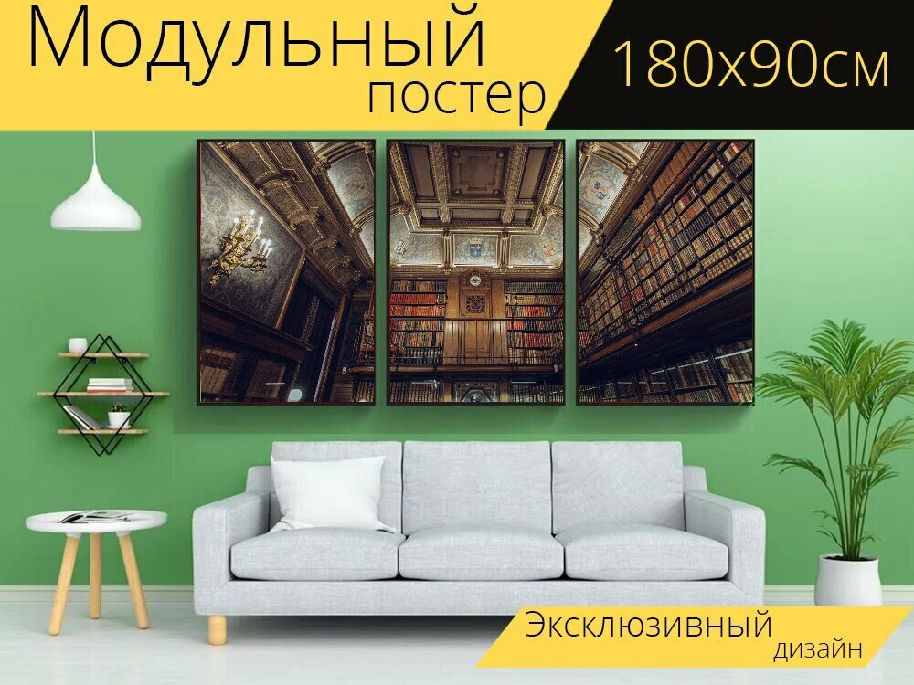 Модульный постер "Библиотека, книги, литература" 180 x 90 см. для интерьера