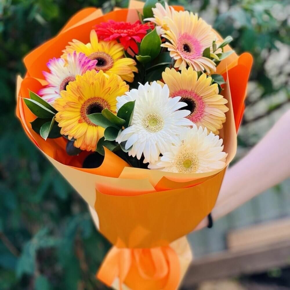 Яркий букет разноцветных гербер, 11 шт.
