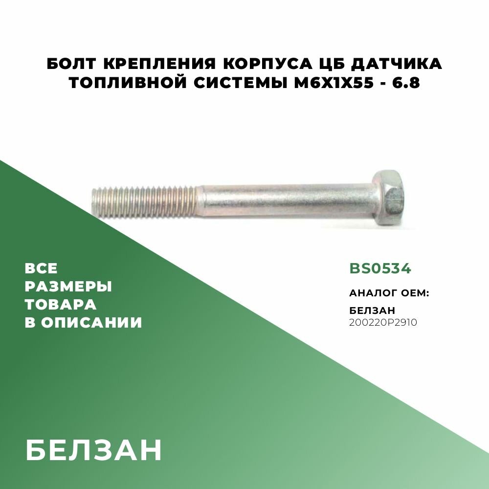 Болт корпуса ЦБ датчика топливной системы M6х55х1-6.8; ОЕМ:200220P2910; BS0534 - 10 шт.