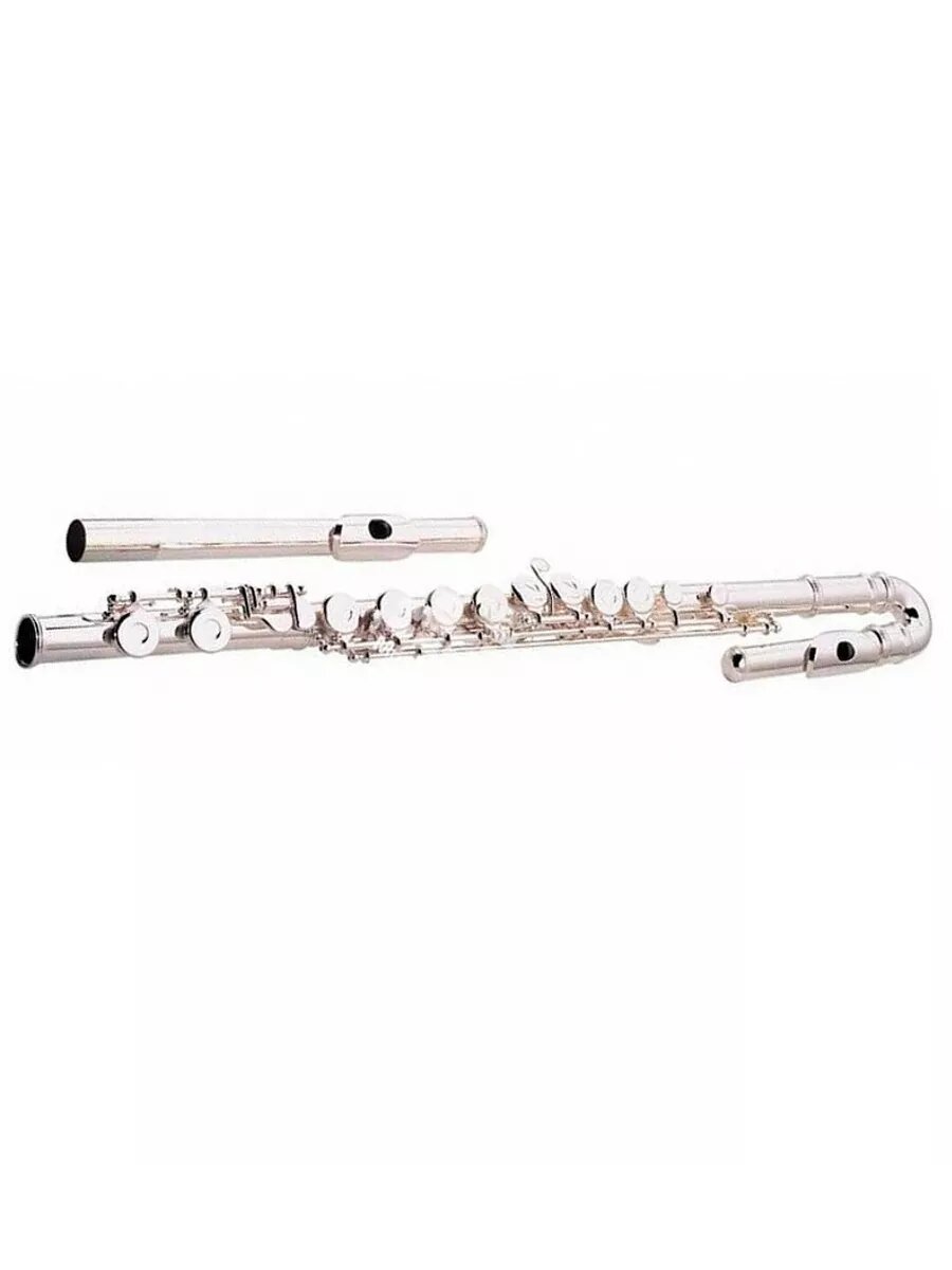 Флейта "C" F-310SC, кейс в комплекте