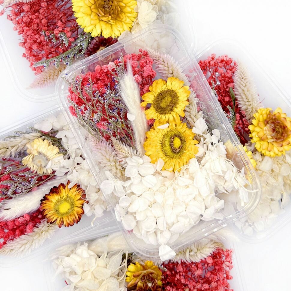 Набор сухоцветов EPOXYMASTER, для декора, 17 см, разноцветный