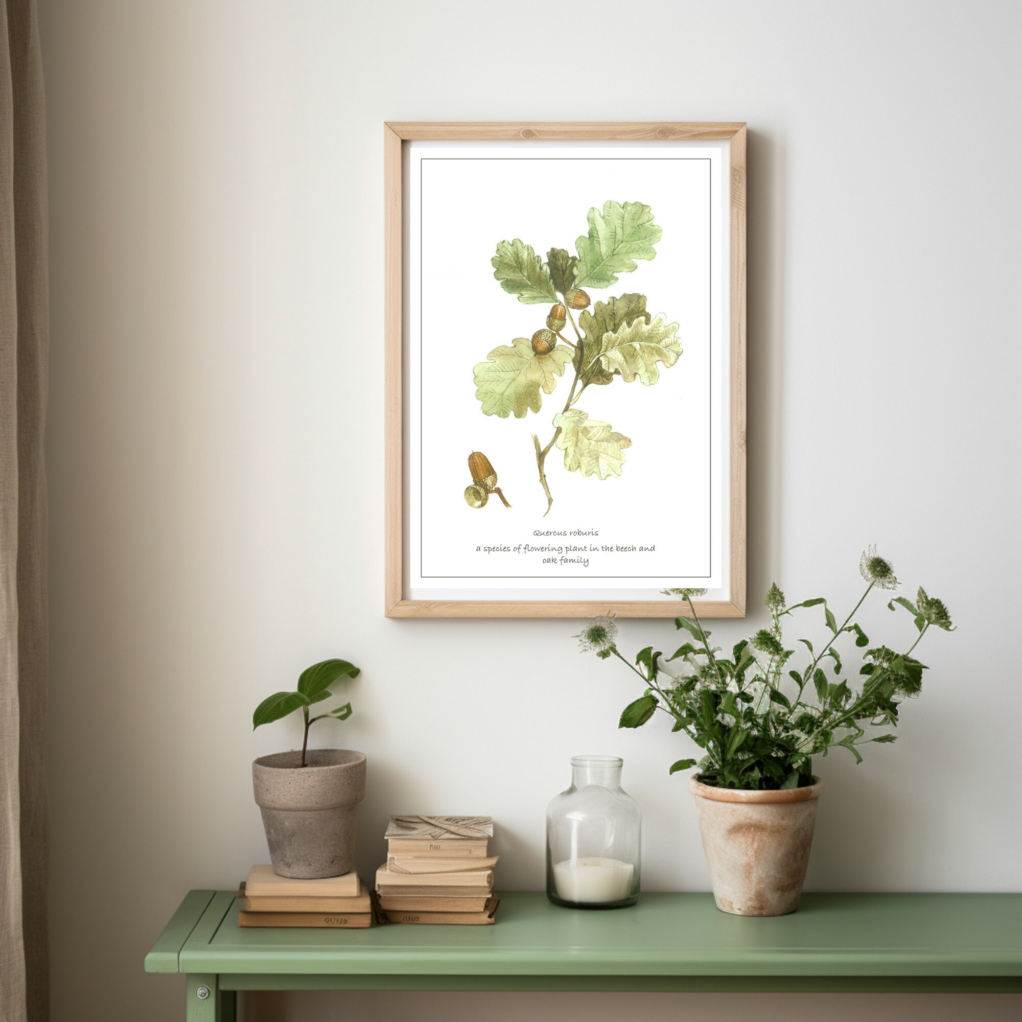 Плакат Pressed Flowers Ботаническая иллюстрация "Дубовая ветвь", 60x42см, в тубусе