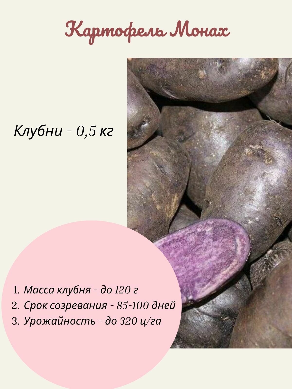Картофель фиолетовый Монах 0,5 кг на посадку