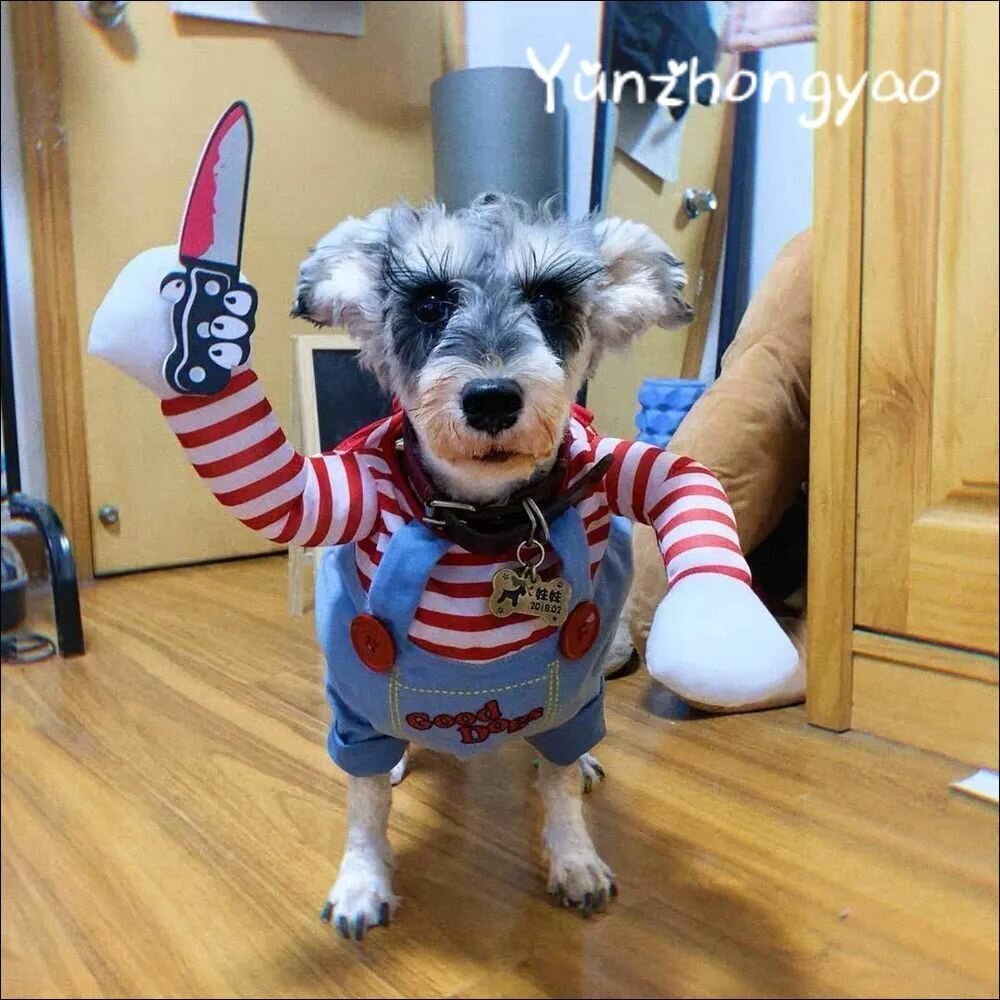 Одежда для животных — фото 1