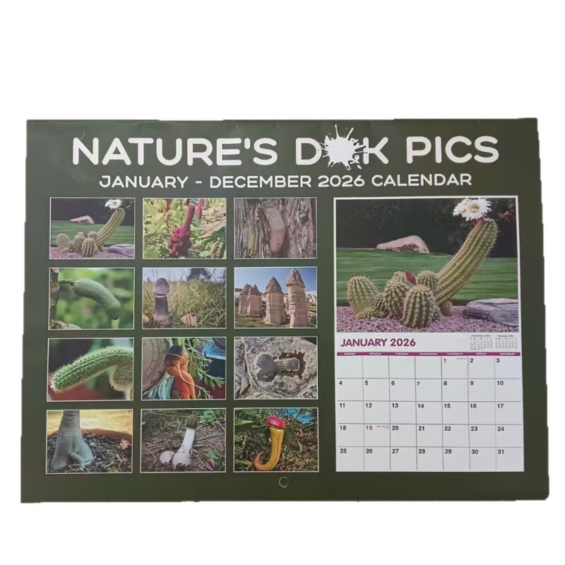 Забавная поздравительная открытка - Веселый календарь на 2026 год, Календарь из плотной бумаги на 2026 год, январь 2026 - декабрь 2026 года, размер 11 дюймов х 8,5 дюймов, очень подходит в качестве забавного подарка.