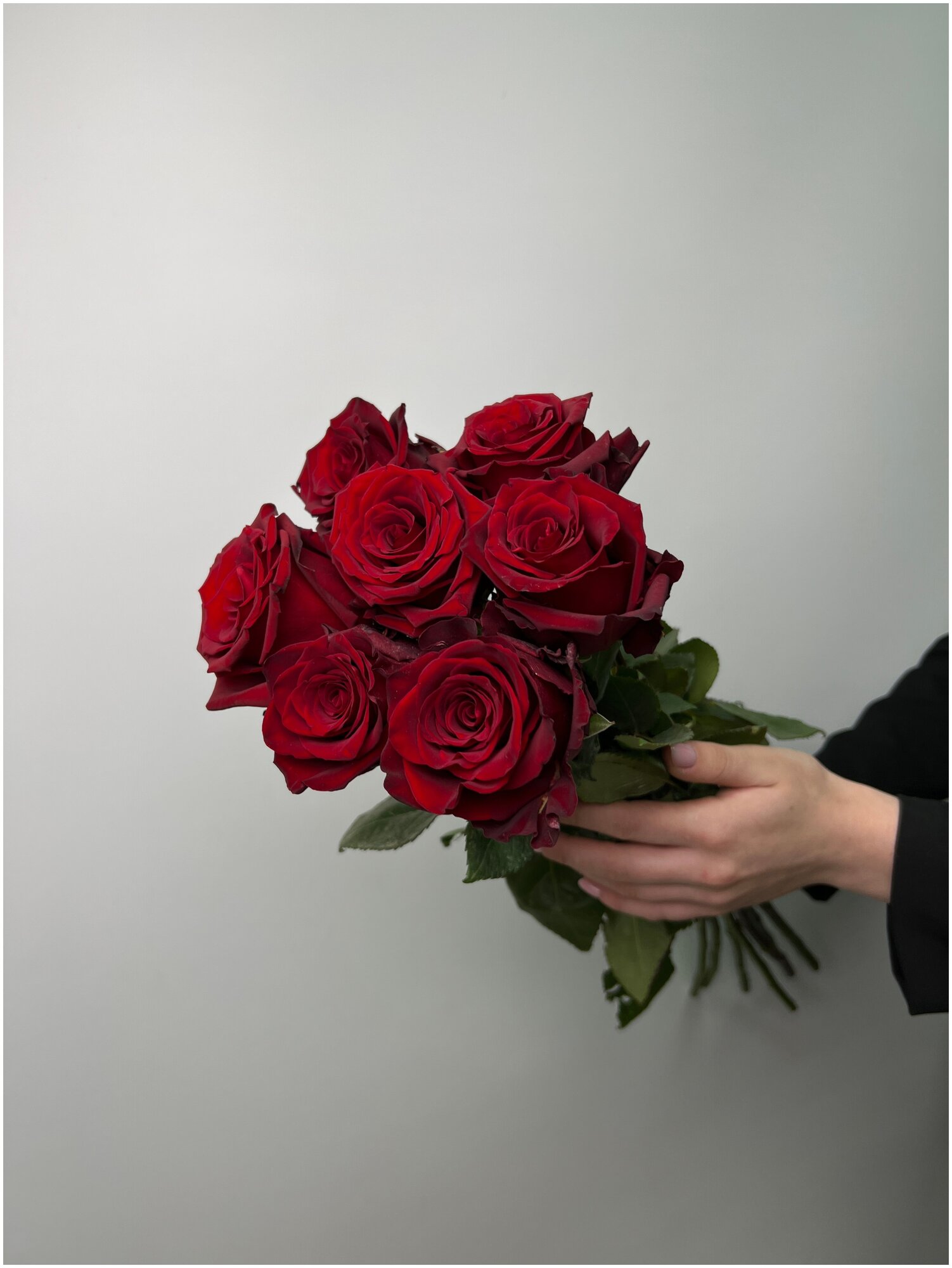 Букет цветов "Эксплорер" роза, 7 шт, красный, высота 60 см