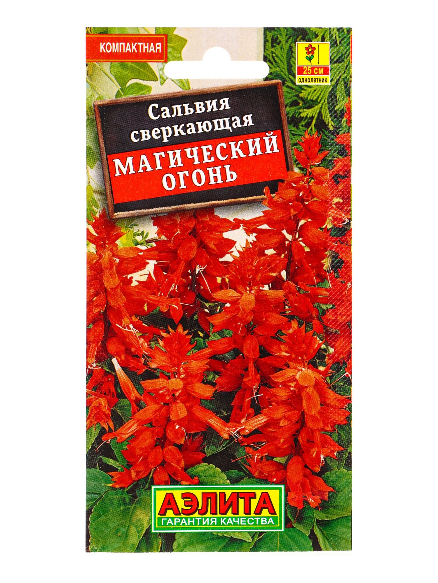 Сальвия «Магический огонь», семена цветов, 0.1 г, «аэлита»