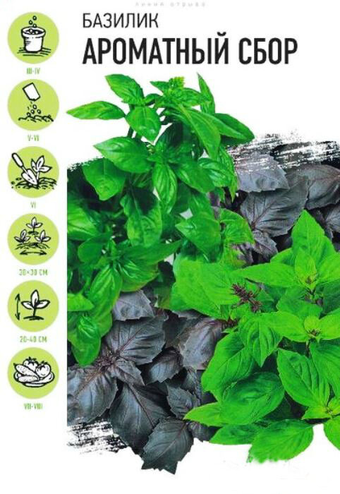 Базилик Ароматный сбор