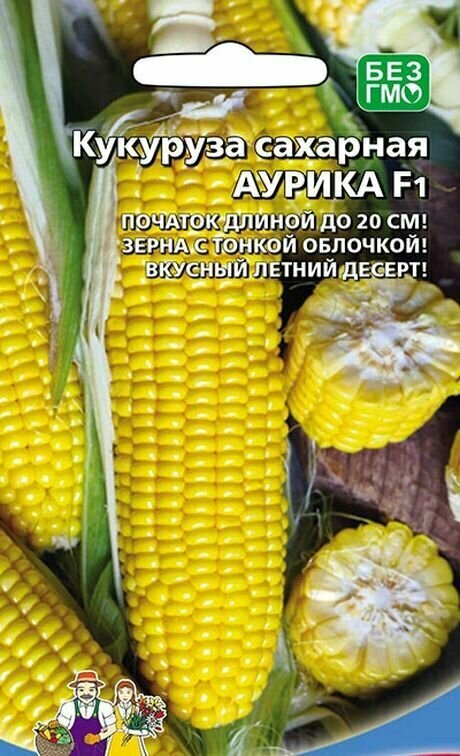 Семена Кукуруза Аурика сахарная