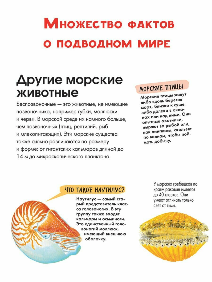 Подводный мир — фото 1