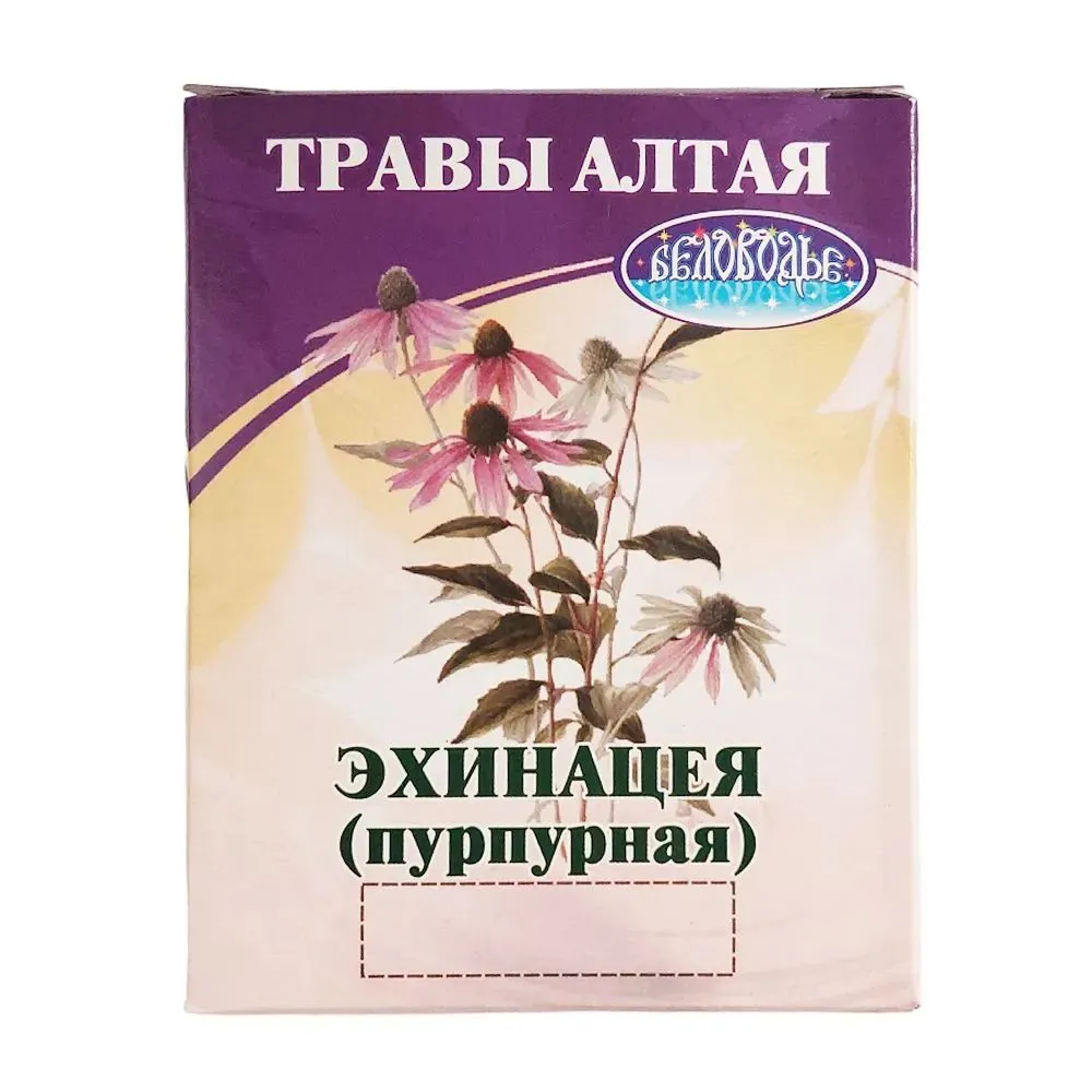 Эхинацея пурпурная, (Беловодье)