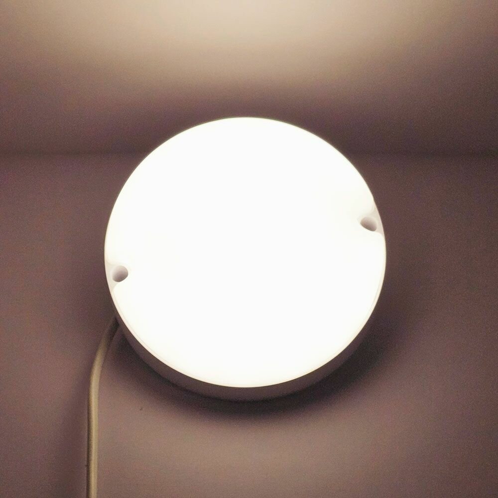 Светильник влагозащищенный LED.12-85 В DC, 15 Вт, накладной. Цвет свечения: Нейтральный белый