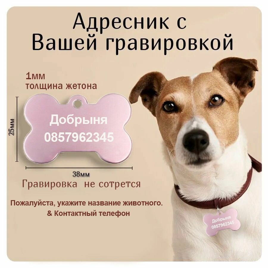 Адресник медальон для животных с адресом бирка подвеска