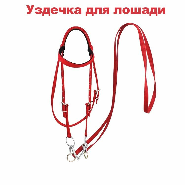 Уздечка для лошади