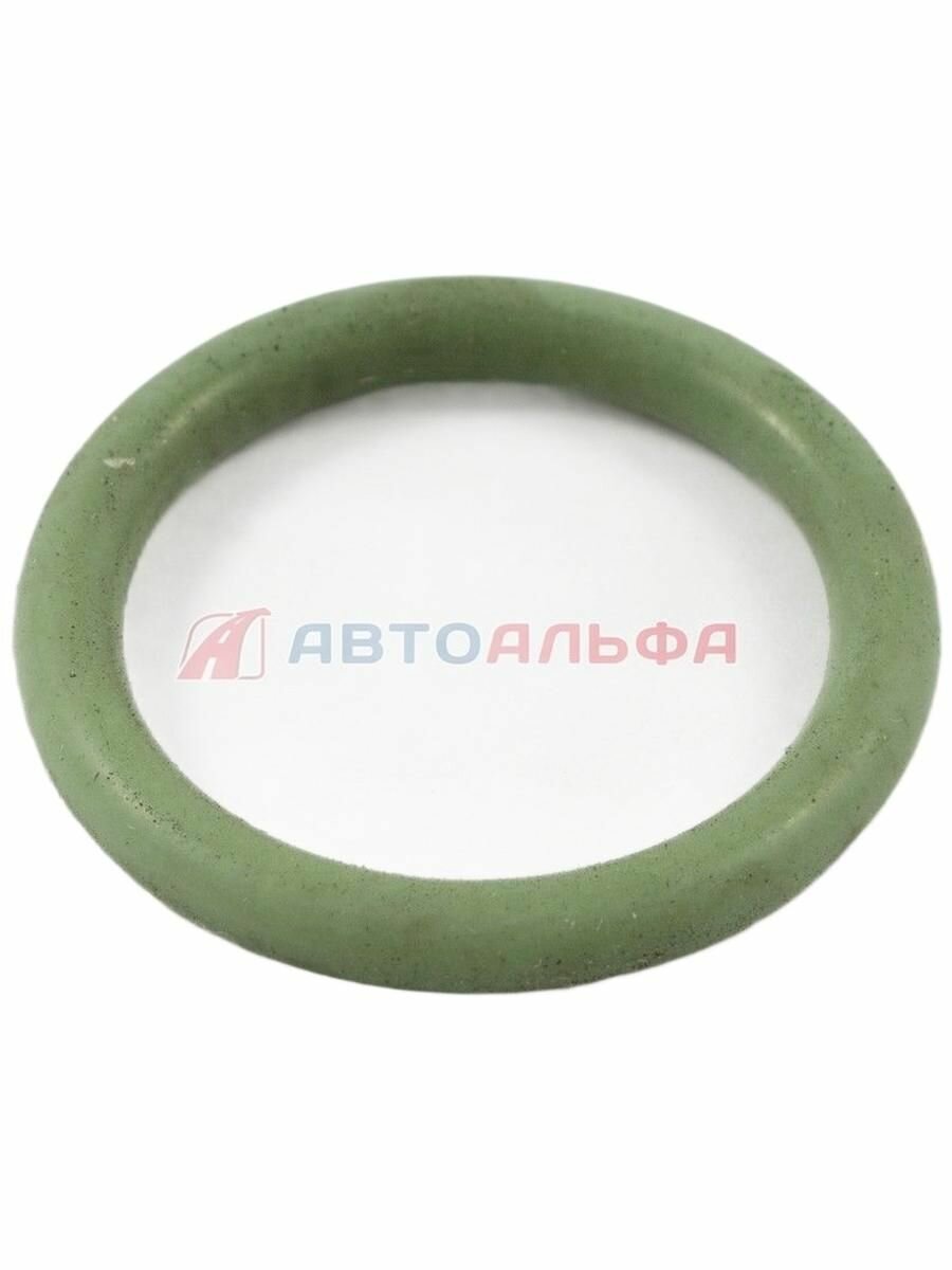 Кольцо уплотнительное гидромуфты вентилятора 020-025-30 КАМАЗ (ФСИ 65)