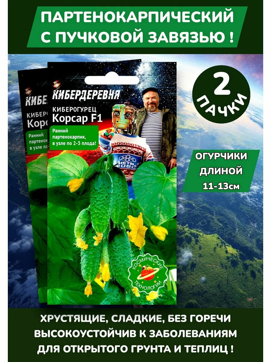 Огурец Корсар Кибердеревня, 2 пакета