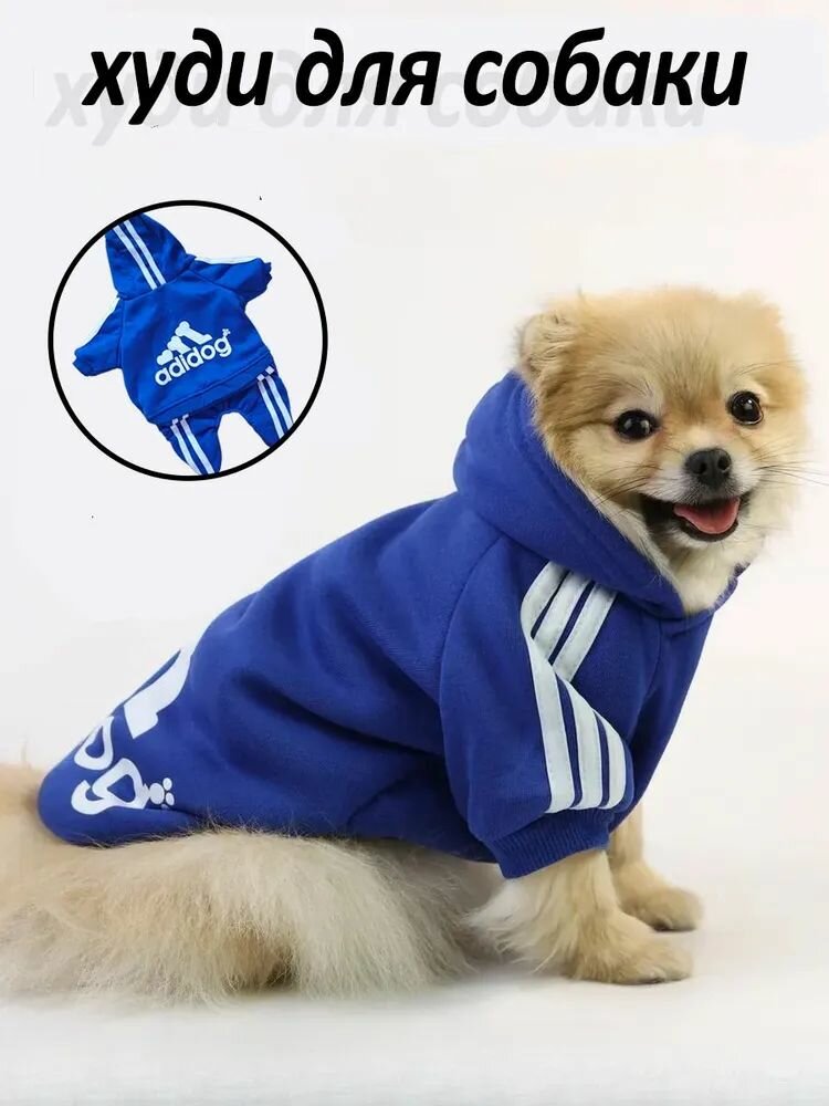 Комбинезон для собак и кошек