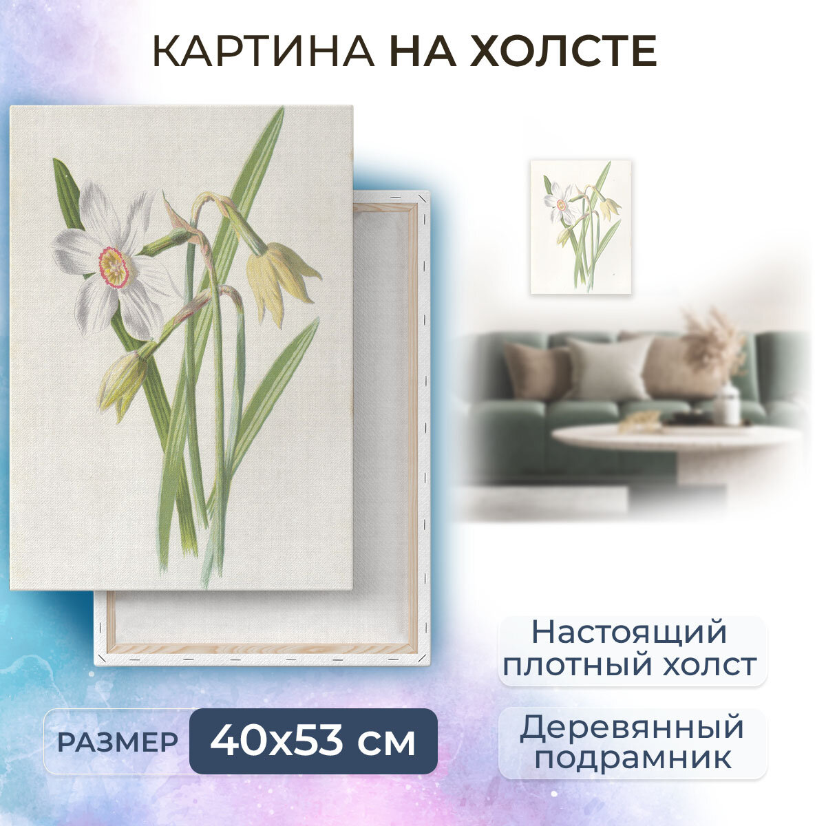 Картина на холсте с подрамником / Pierr - Joseph Redoute / Пьер-Жозеф Редуте