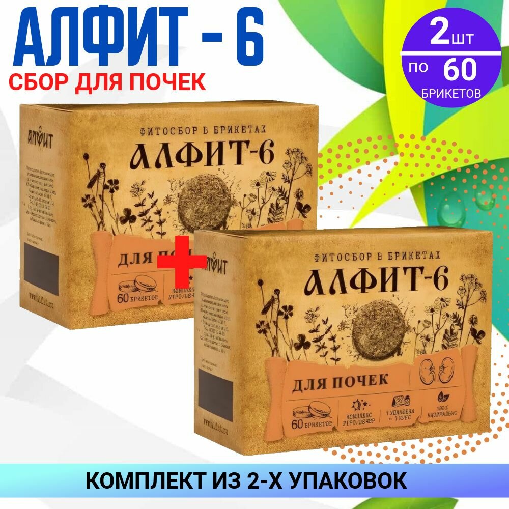 Фитосбор Алфит-6 почечный. 2 упаковки по 60 штук, комплект из 2х упаковок