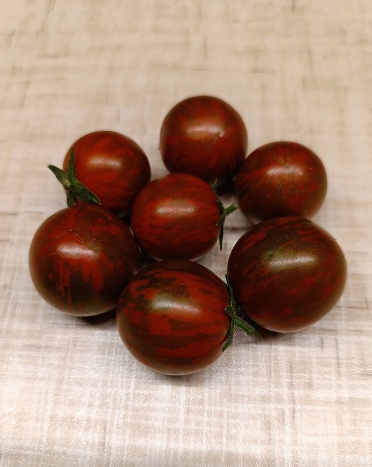 Семена помидоров "Черная Зебра", урожайность, сладкие, красно-коричневые, 1г