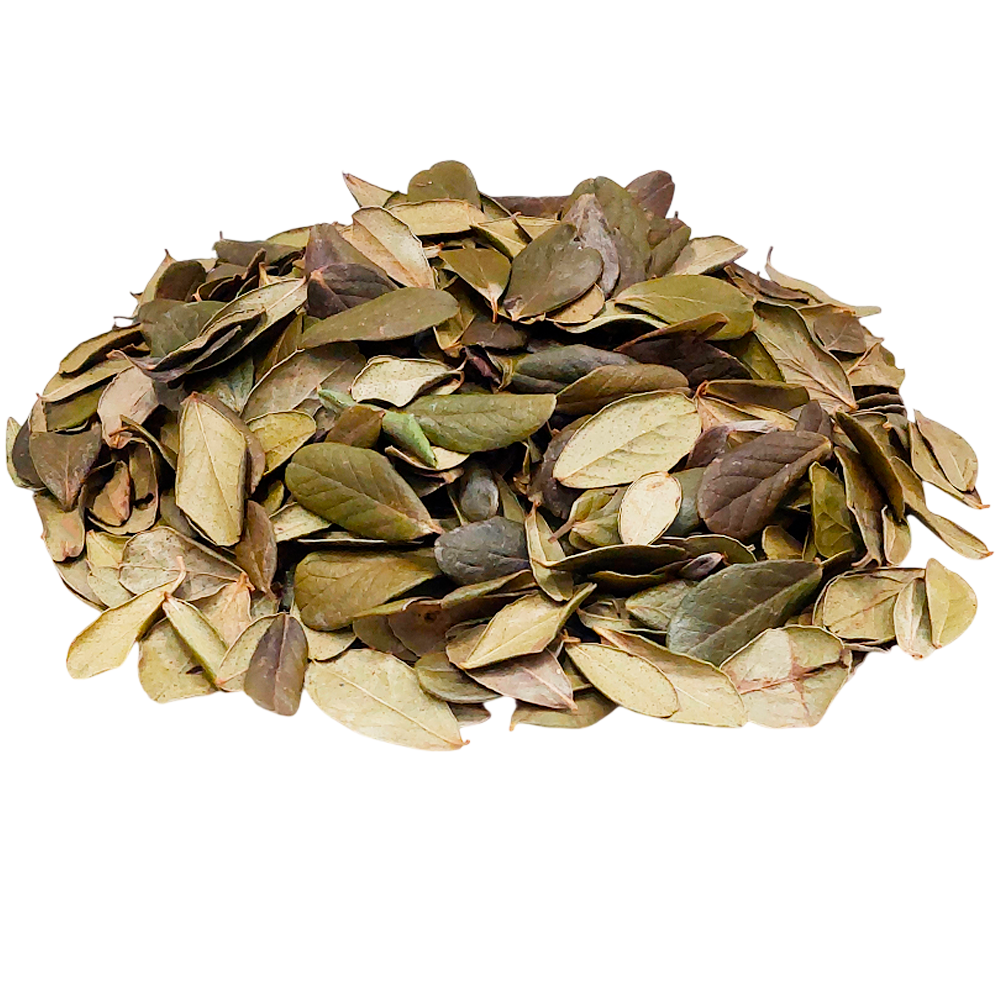 Листья брусники, (Цельные)