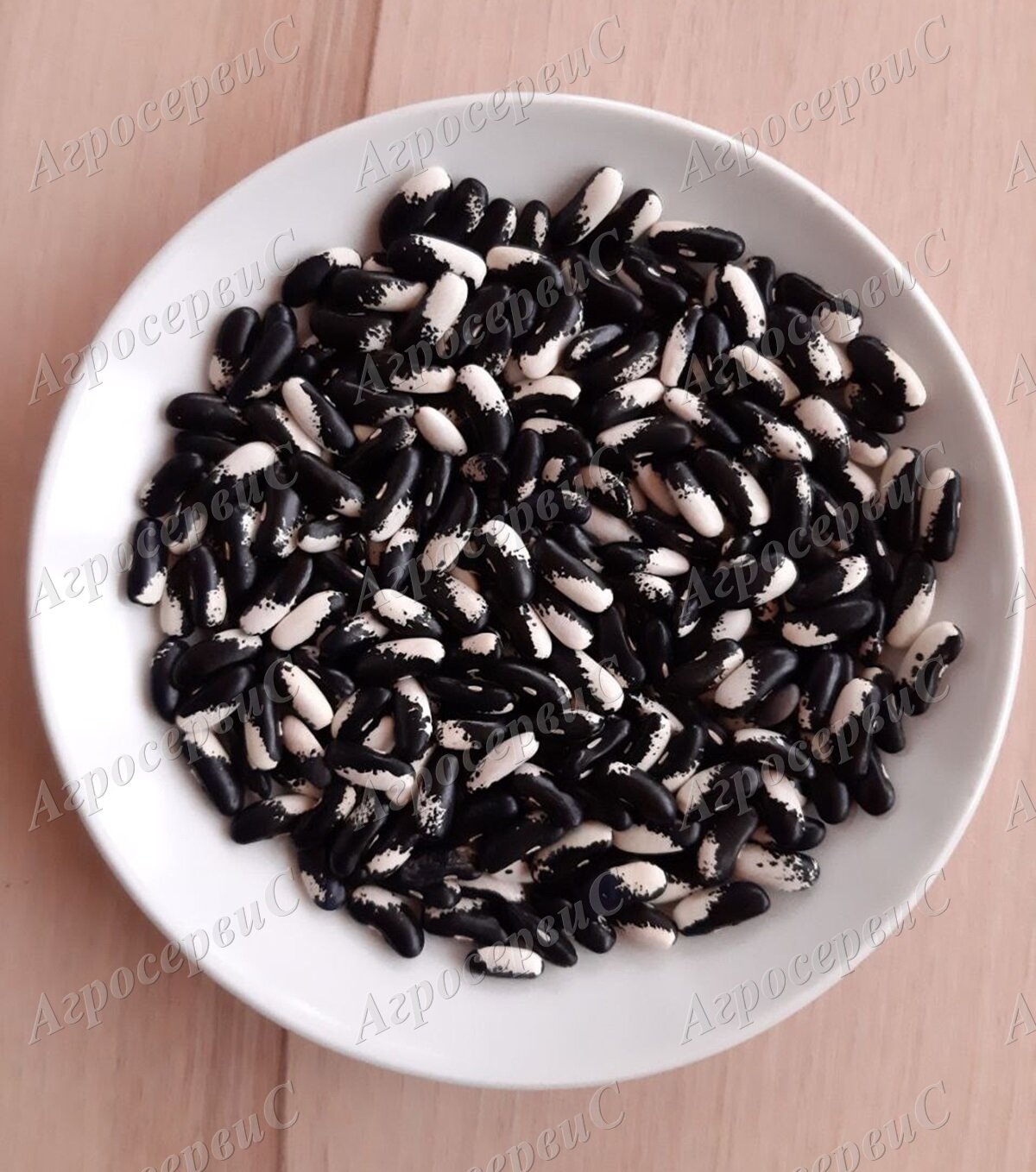 Фасоль Сорока (старинный французский сорт), 10 семян (коллекционные семена ручной фасовки)