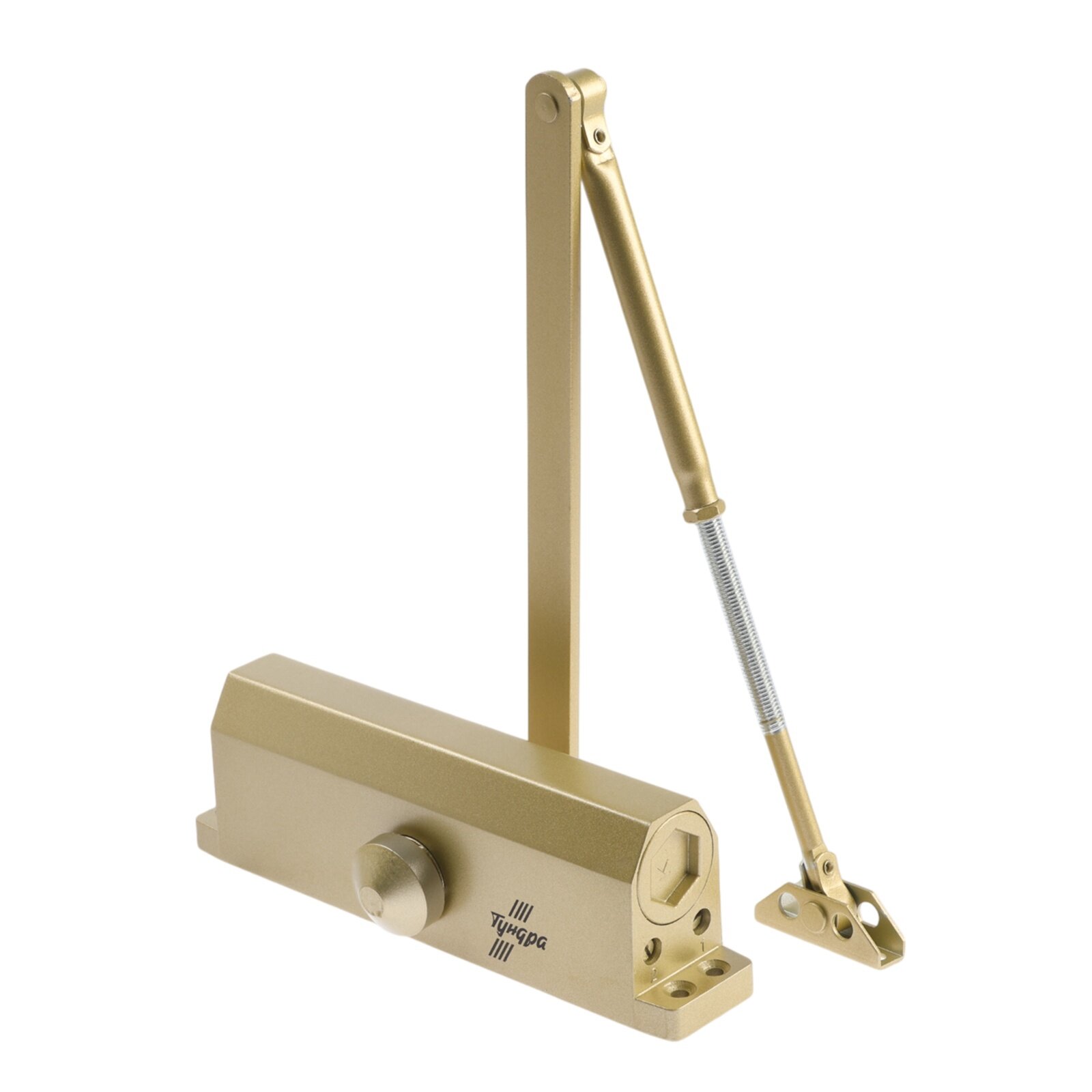 Доводчик дверей тундра D150GP, до 150 кг, цвет золото, 10629578