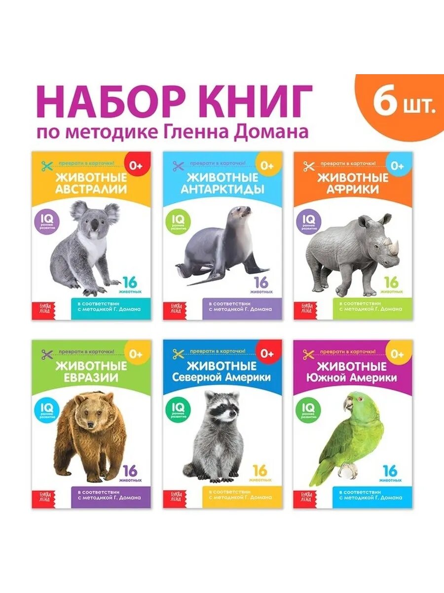 Обучающие книги с карточками для малышей
