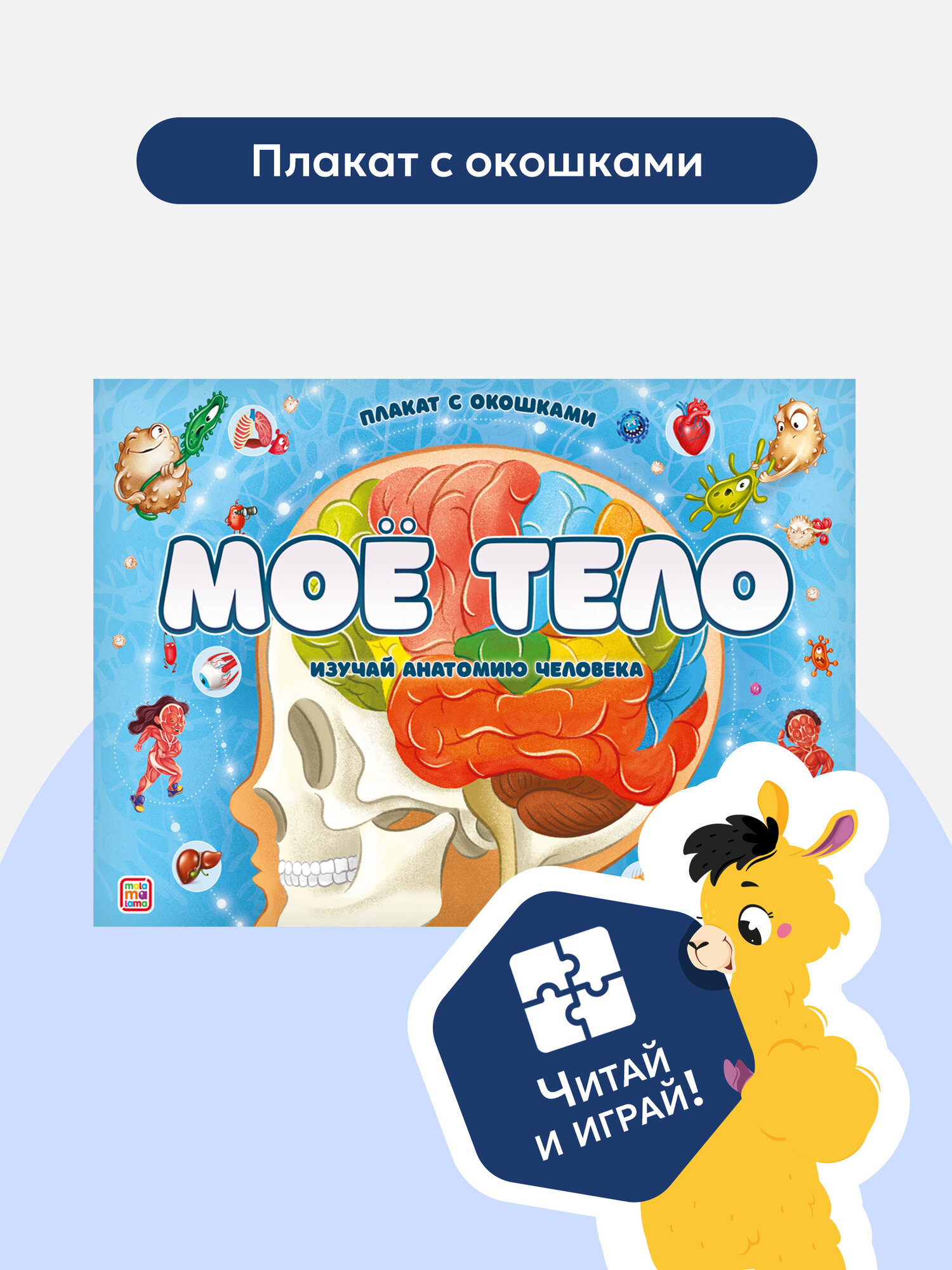 Книжка с окошками "Анатомия Мое тело" для детей от Malamalama