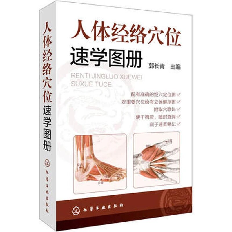 Атлас быстрого обучения человеческих меридианов и акупунктурных точек