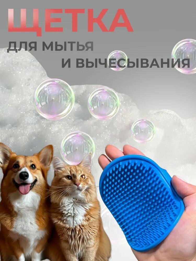 Губка для мытья животных