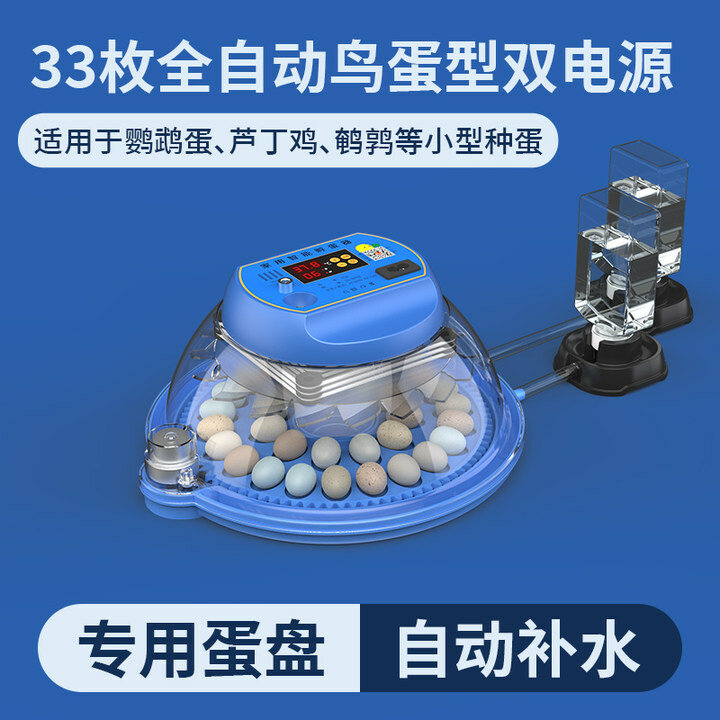 Оптовый инкубатор для домашнего использования, полностью автоматический интеллектуальный инкубатор для птичьих яиц, маленький инкубатор UFO