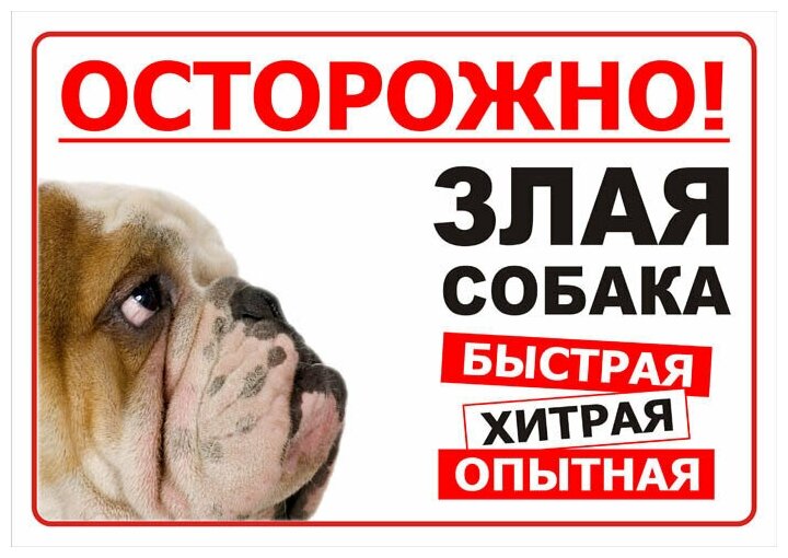 "Злая собака" - табличка 30х21см на металле