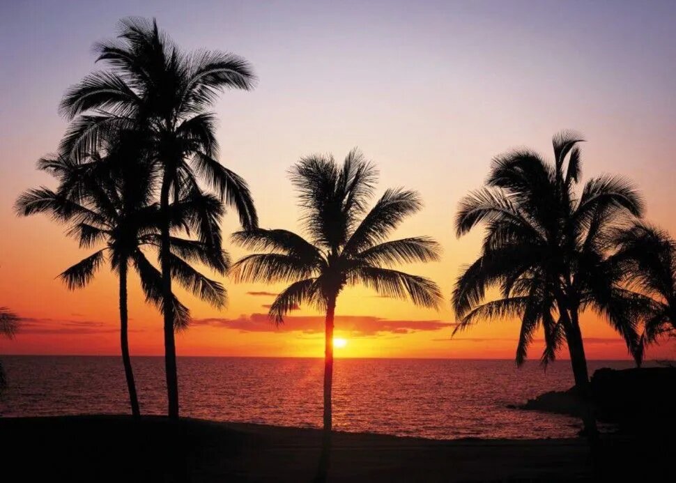 Фотообои Komar бумажные 8-307 3,68*2,54 8полотен, клей в комплекте