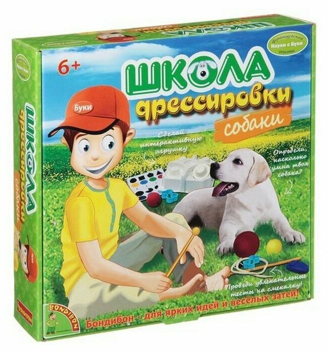 Набор BONDIBON Школа дрессировки. Собаки (ВВ1437), зеленый