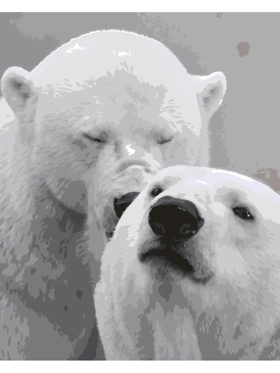 Картина по номерам "Белые медведи" 40*50 см, холст с подрамником