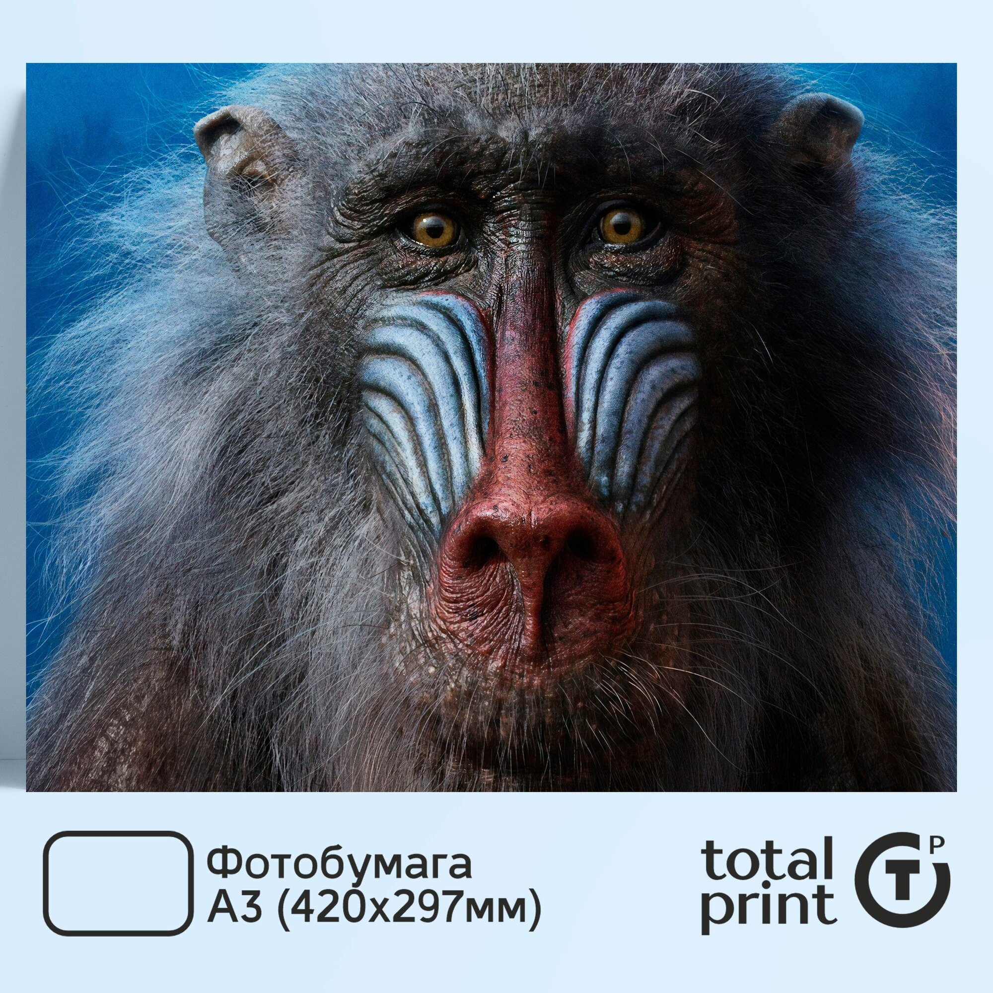 TotalPrint Постер для интерьера, Король Лев, А3(42х29,7см)