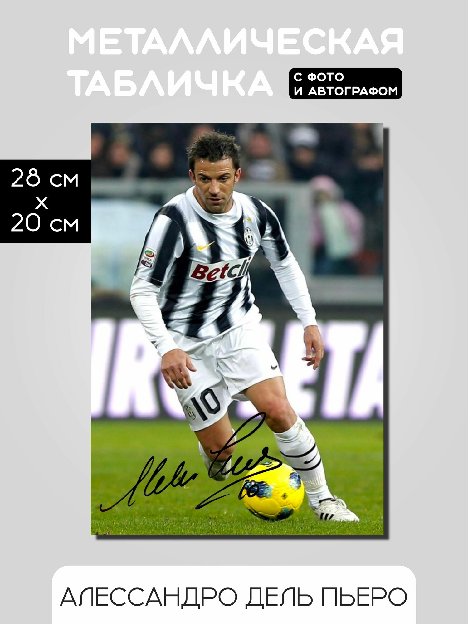 Алессандро Дель Пьеро автограф на металлической фотографии 280х200мм