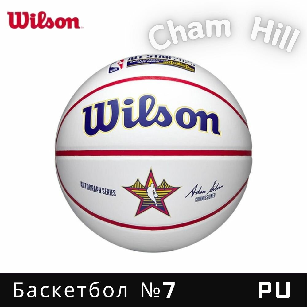 Wilson Баскетбольный Мяч №7 2025 NBA ALL STAR AUTO WZ4034101XB7