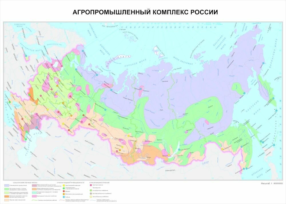 Карта Агропромышленный комплекс России. 8-9 классы
