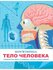 Тело человека. Инфографика