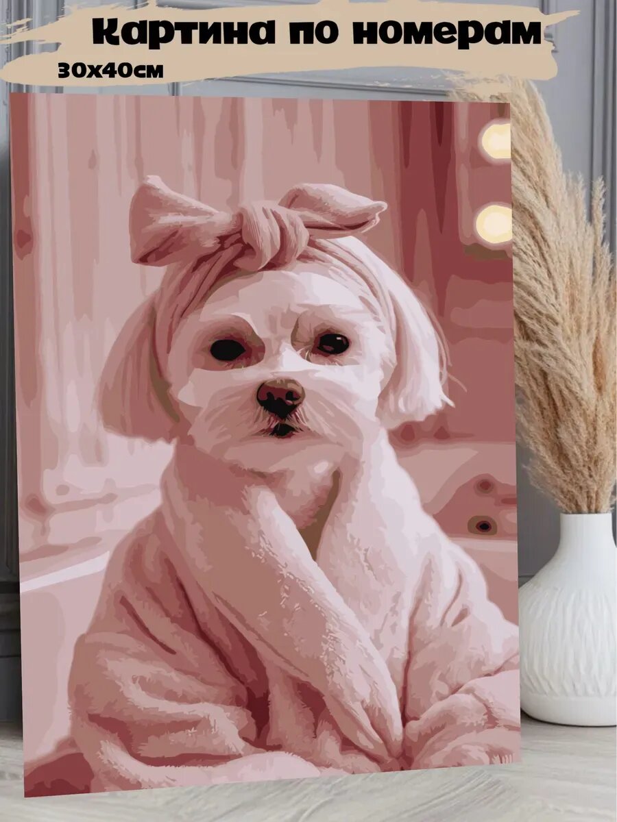 Картина по номерам собачка в халате