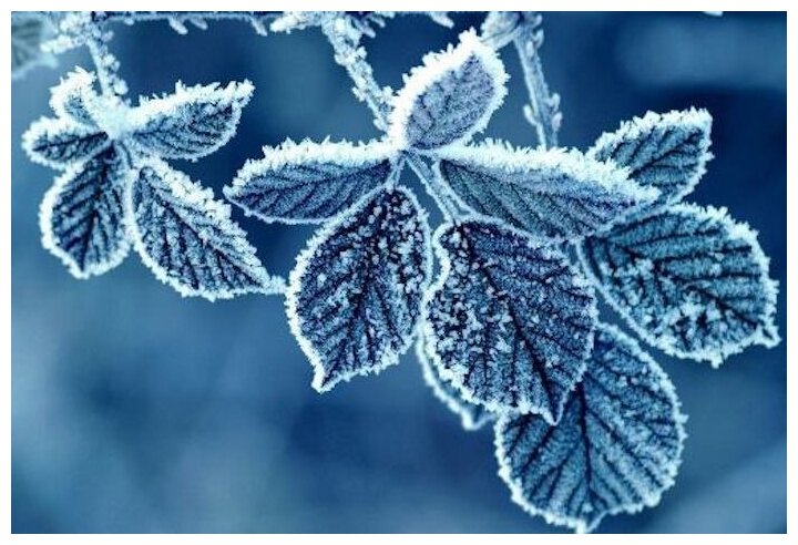 Набор алмазной вышивки "Иней", размер 50х33 см, 36 цветов