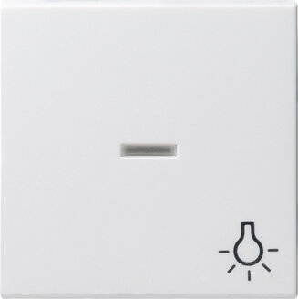 Клавиша с линзой Gira SYSTEM 55, скрытый монтаж, белый глянцевый, 067403