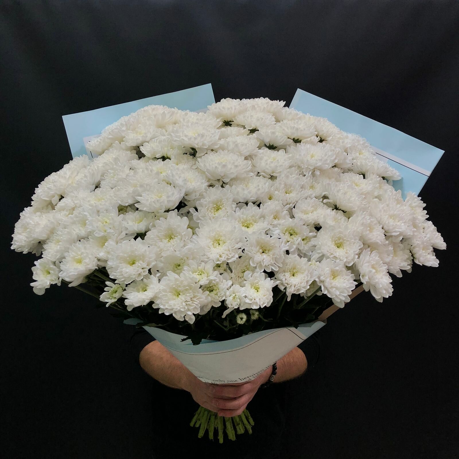 Монобукет в упаковке из 25 штук кустовых хризантем Алтай в упаковке