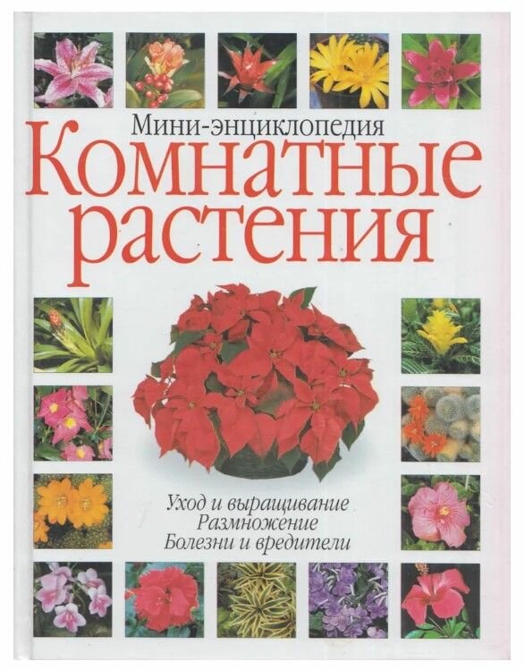 Комнатные растения. Мини-энциклопедия