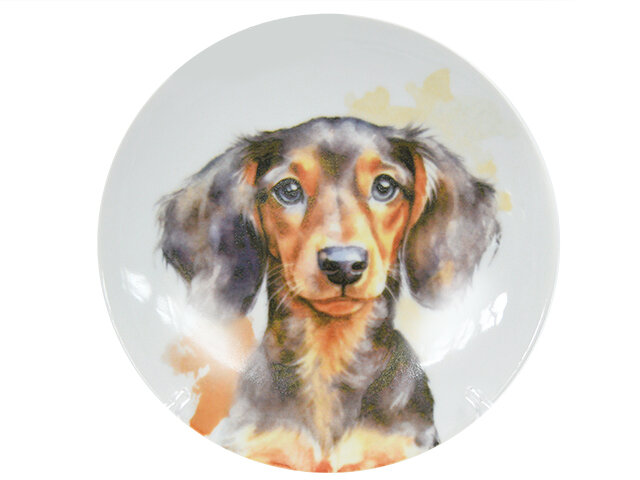 Тарелка суповая Мой питомец Луна фарфор 20,5см Добрушский фарфоровый завод