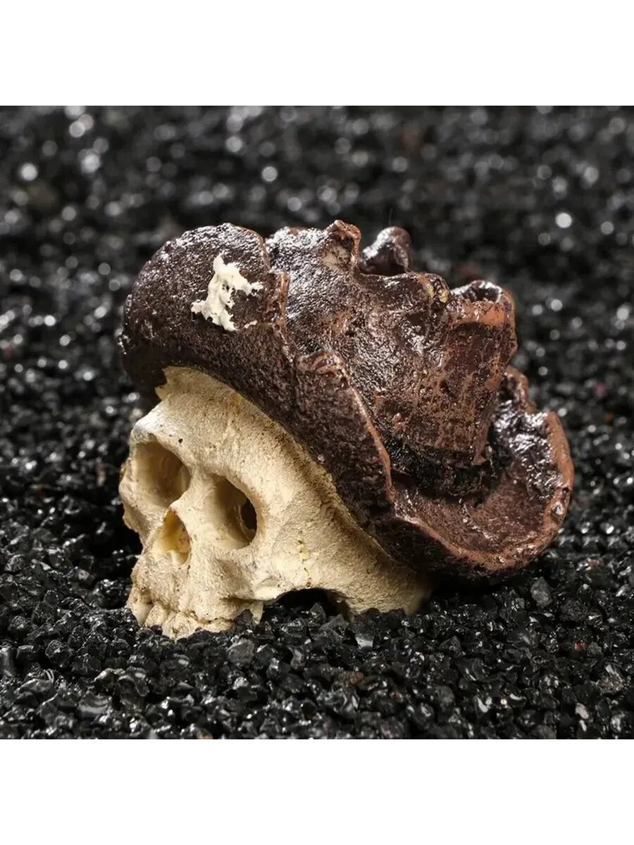 Декоративный элемент для аквариума в виде черепа