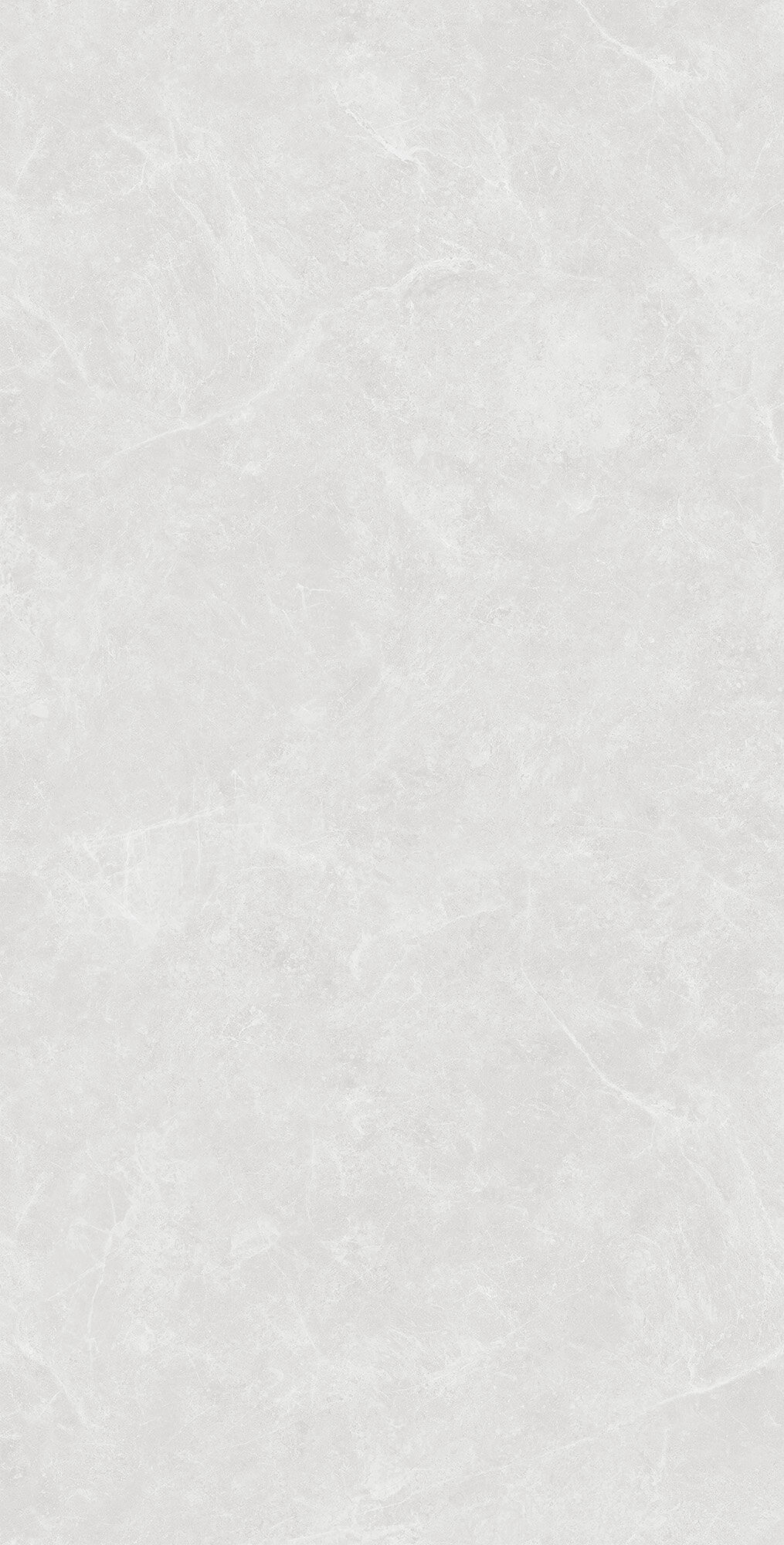 Керамогранит Arcadia Ceramica OVIEDO SILVER SOLIDO 1200 × 600 мм Поверхность: Матовая с микрогранулами (цена за 1 плитку 0,72м2)